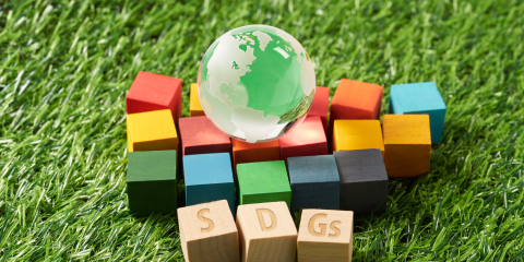 Master in Management of Sustainable Development Goals (MSDG) - A.Y ...